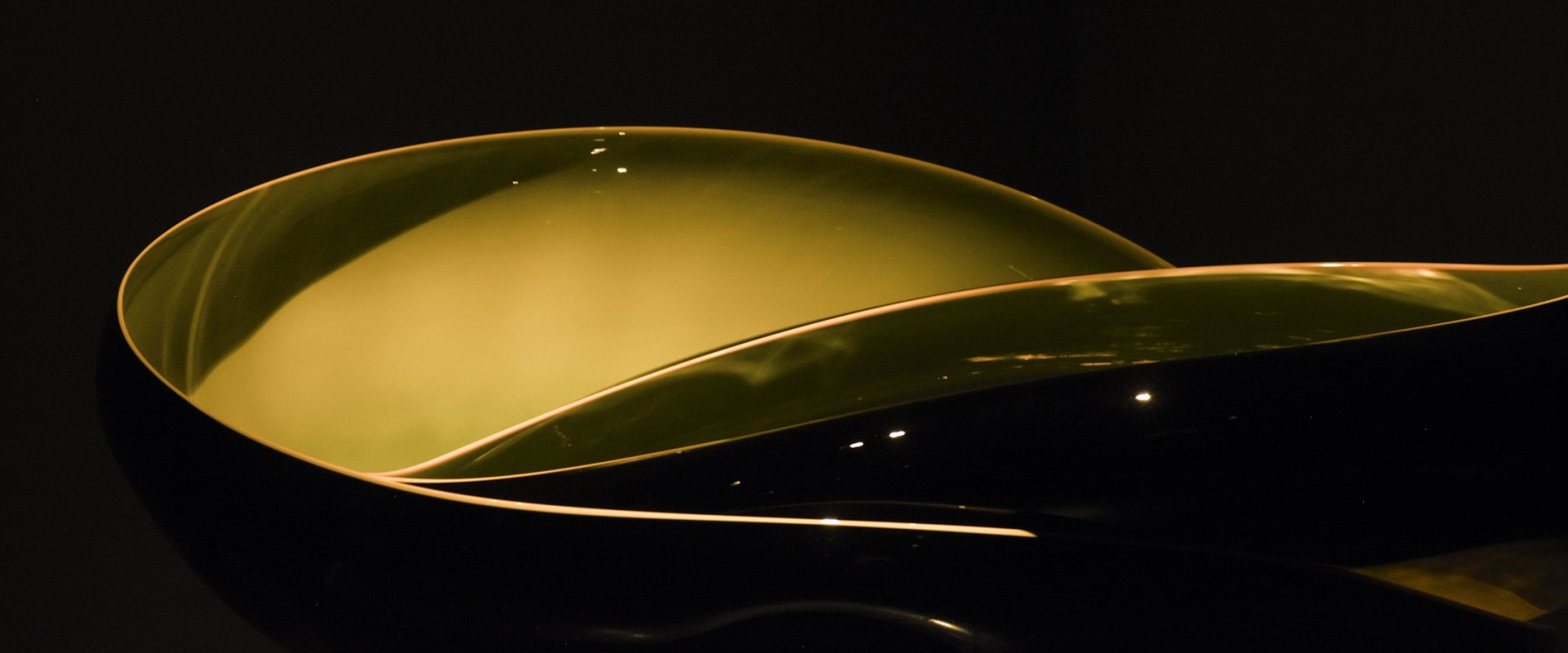 Protecting Victims of Financial Exploitation in Williamson County ...